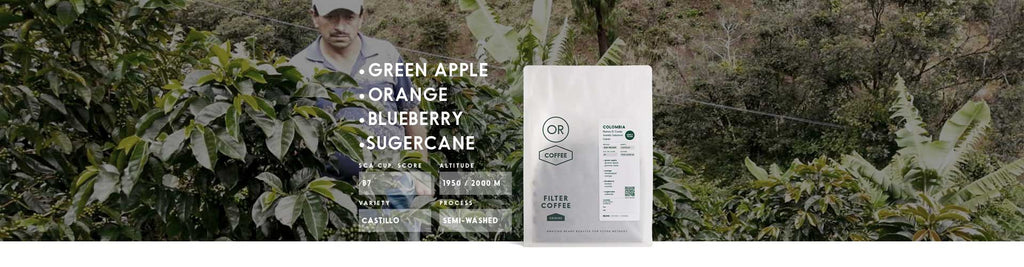 Discover the essence of our Colombia El Credo: A specialty coffee from ...